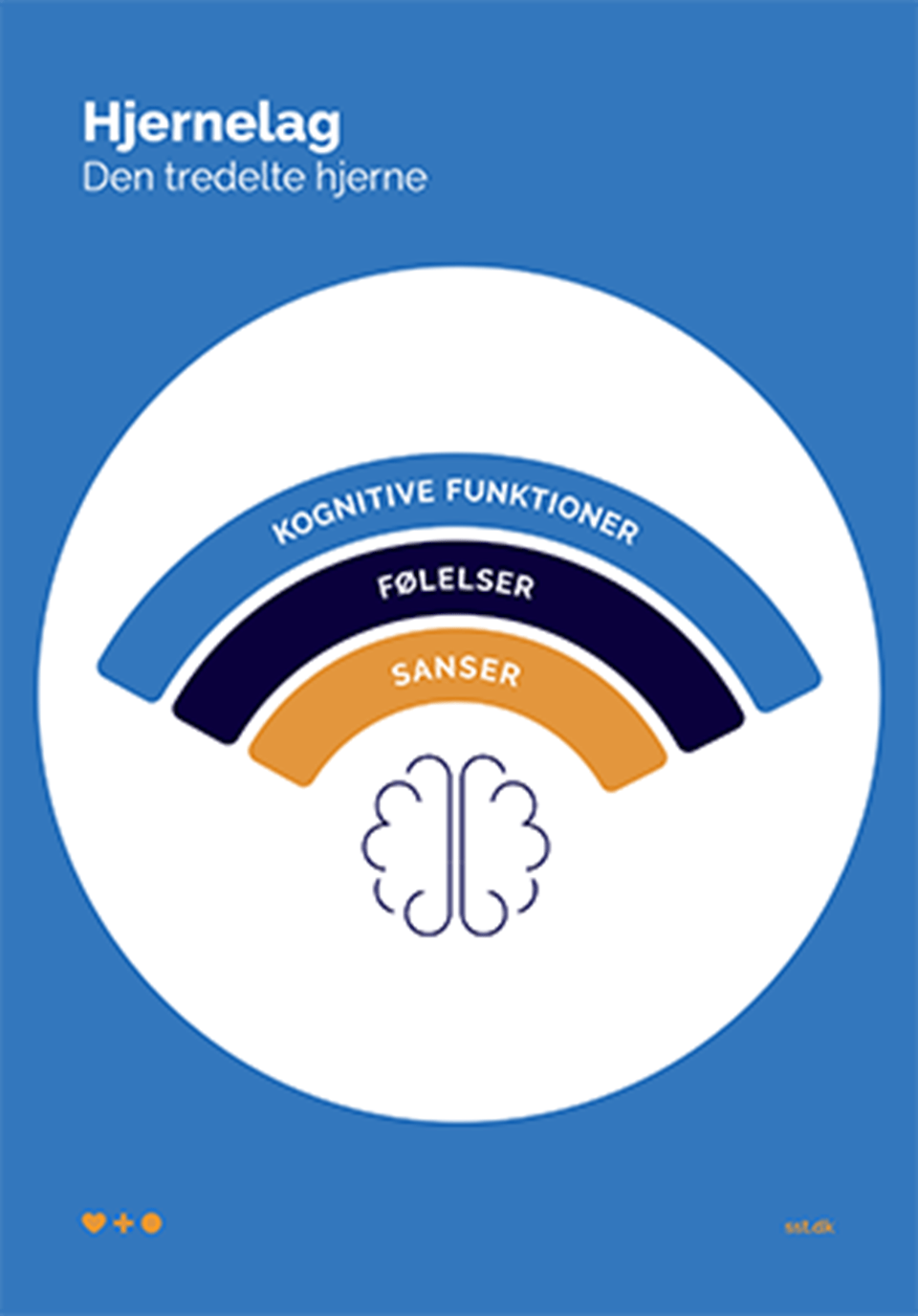 Hjernelag: Den tredelte hjerne | Sundhedsstyrelsen